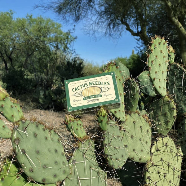 Cactus Needle Toothpicks - Dryad Cookery